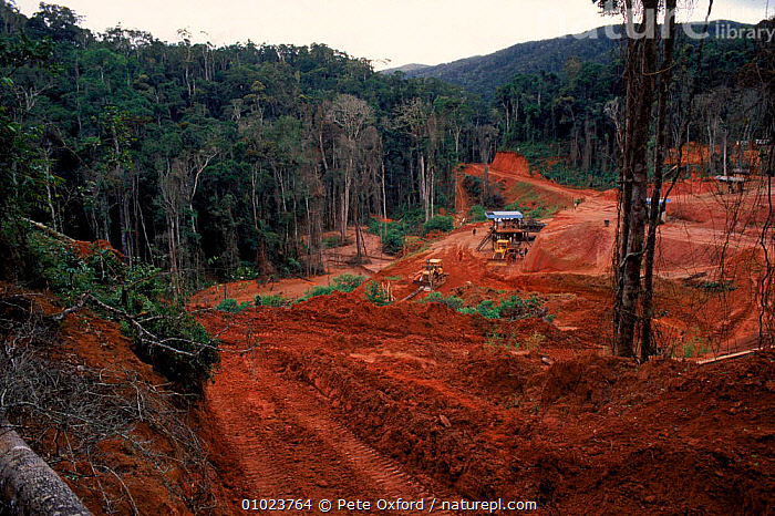 Stock photo of Deforestation for graphite mine, Mantady NP, Madagascar ...