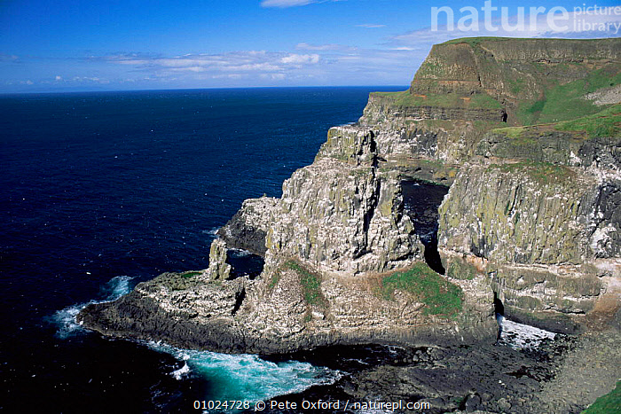 Stock photo of Bird cliffs on Rathlin Island, Northern Ireland ...