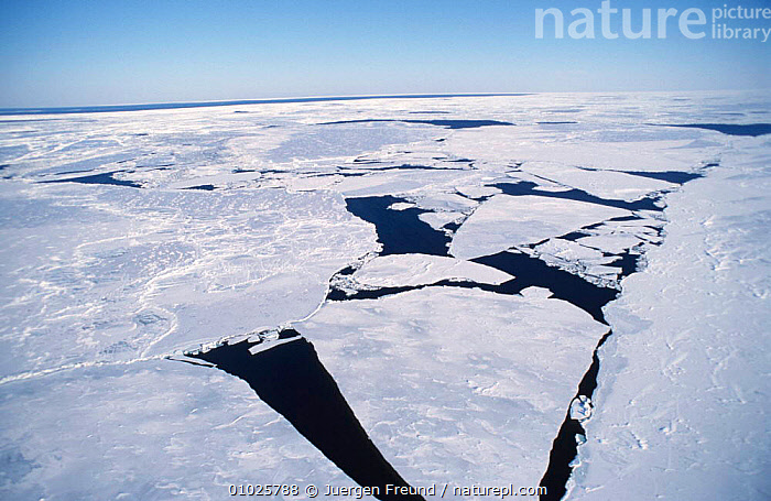 Stock photo of Looking down onto broken ice fields, St Lawrence stream ...
