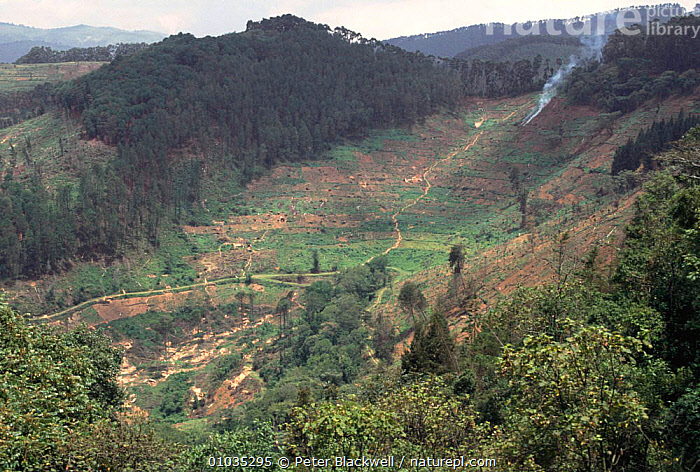 Deforestation In Africa 2012