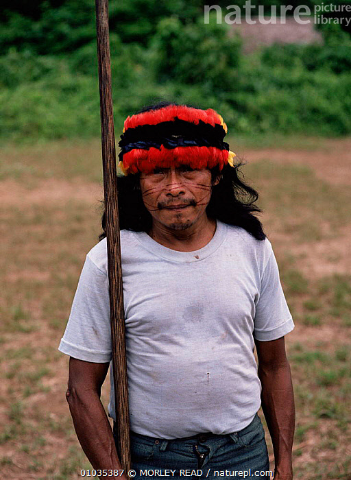 Stock photo of Achuar Indian man with macaw feather headress, Amazon ...