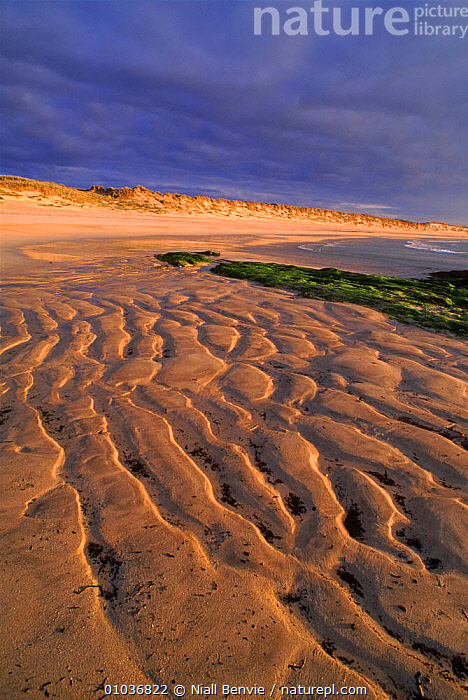 Stock photo of Feall Bay, Coll, Strathclyde. Scotland. Patterns on the ...