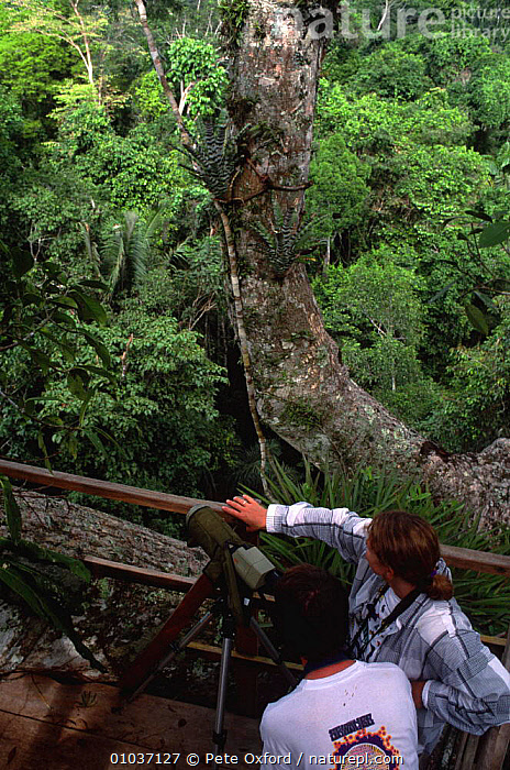 Stock photo of Tourists using monoscope to watch birdlife from canopy ...