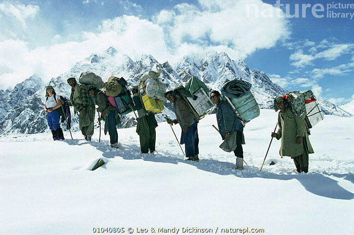 Stock photo of Mandy Dickinson with porters climbing in Karakoram ...