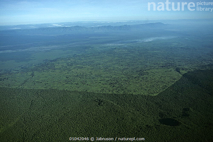 Stock photo of Aerial view of demarkation of Virunga NP park boundary ...