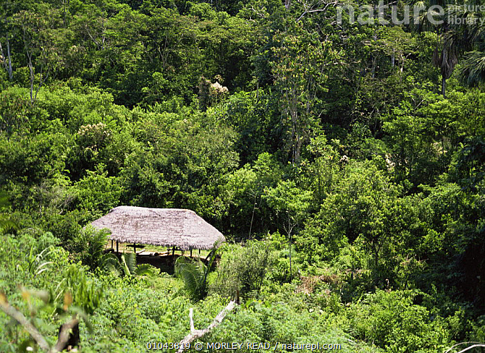 Stock photo of Aerial view of traditional Quechua indian house in ...