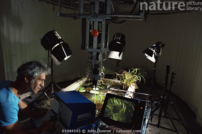 Stock photo of Alan Hayward filming in macro studio for "Galactic ...
