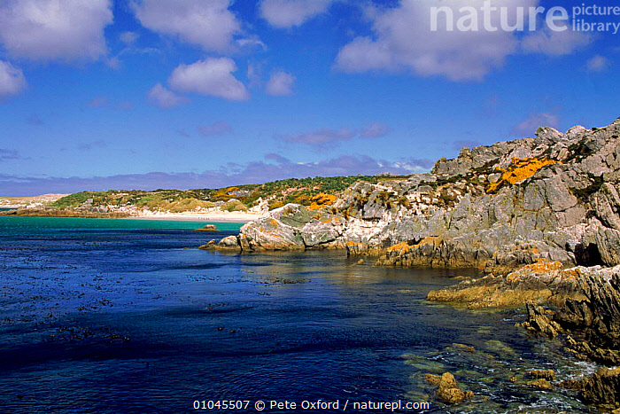 Stock photo of Gypsy cove, East Falkland Is, Falkland Islands ...