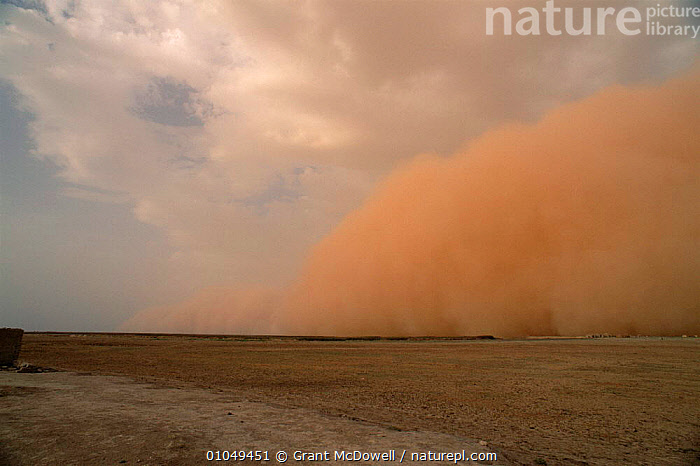 Stock photo of Dust storm preceeding thunderstorm in the Sahel, Mali ...