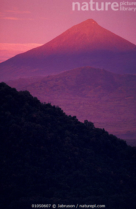 Stock photo of Muhavura volcano viewed from Tongo. Sunset. Virunga NP ...