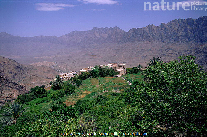 Stock photo of Wakkan, mountain village at Ghurra Bowl oasis, Oman ...