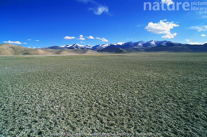 Stock photo of The barren permafrost of the Tibetan Plateau with ...