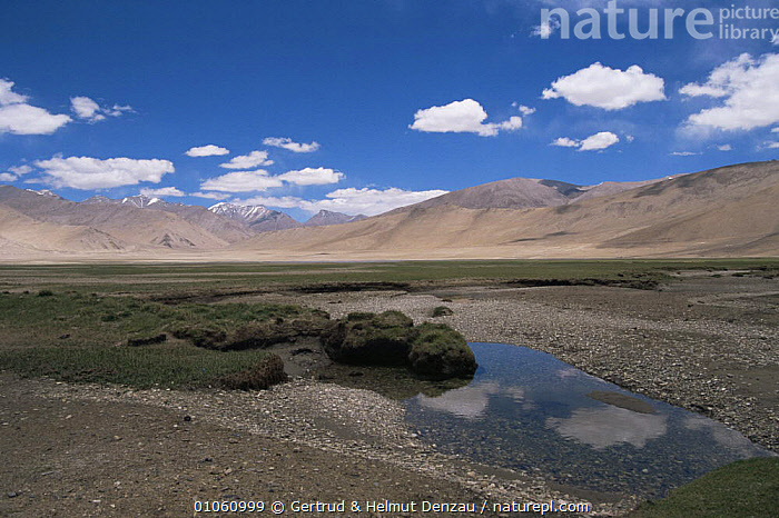 Stock photo of Tibetan Plateau landscape, with mountains in background ...