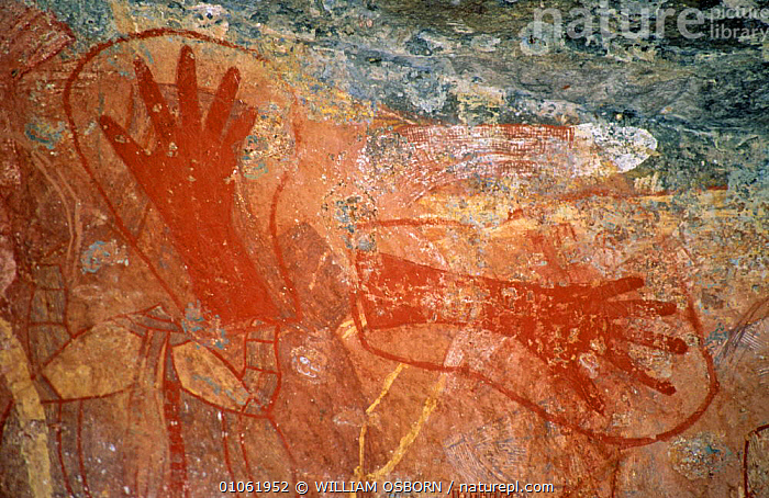 Stock photo of Aboriginal rock painting of arm, Ubirr, Kakadu NP ...
