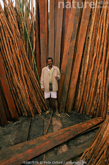 Stock photo of Timber market, Tamatave, eastern Madagascar. Available ...