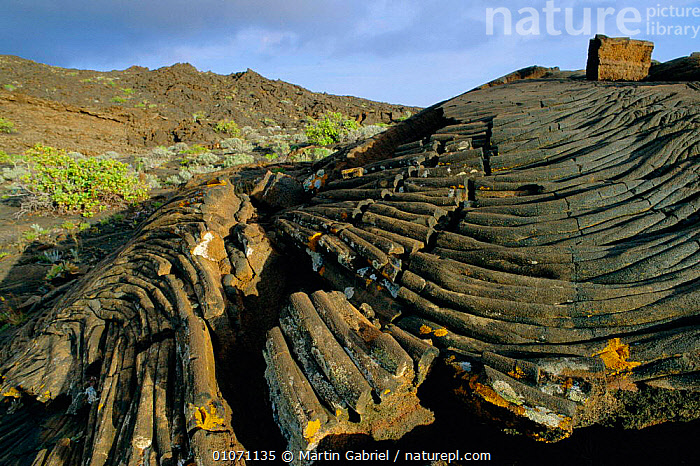 Stock photo of Lava patterns El Hierro, Canary islands,. Available for ...