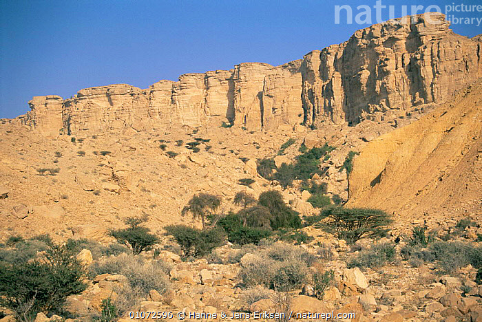 Stock photo of Jebel Qatar, Western Hajar mountains, Oman. Available ...