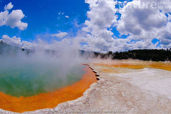 Stock photo of Champagne pool, carbon dioxide bubbles in mineral hot ...