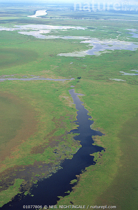 Stock photo of Aerial view of Sepik River floodplain, Irian Jaya / West ...