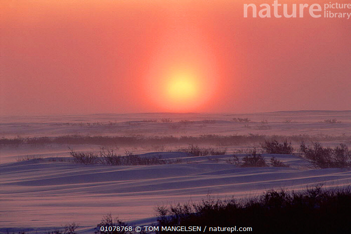 Stock photo of Arctic landscape at sunset, Hudson Bay, Churchill ...