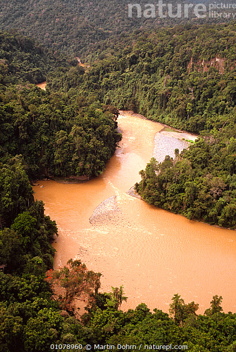 Stock photo of Jimi River flowing through Schrader Ranges, Highlands ...