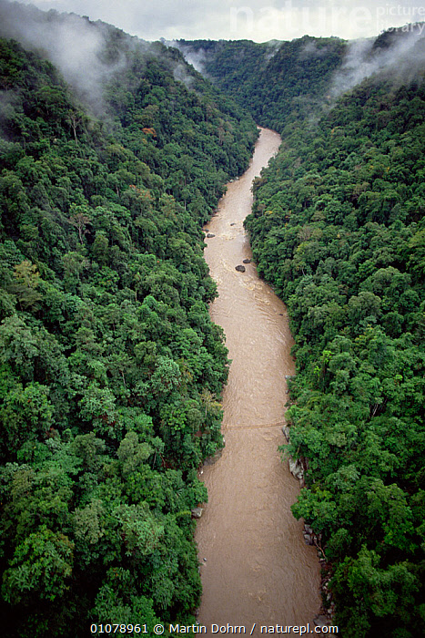 Stock photo of Jimi River flowing through Schrader Ranges, Highlands ...
