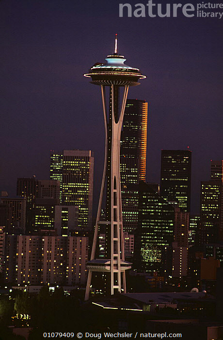Stock photo of Seattle city at night with Space Needle building ...