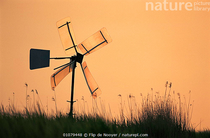 Stock photo of Wind vane in reed beds, The Netherlands. Available for ...