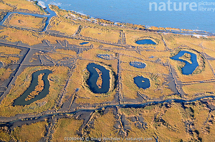 Stock photo of Aerial view of Mosquito control ditches in saltmarshes ...
