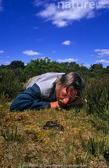Stock photo of Photographer and herpetologist Tony Phelps face to face ...