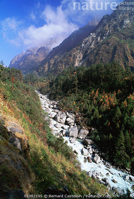 Stock photo of Langtang Khola river flowing down mountain at 3400 ...