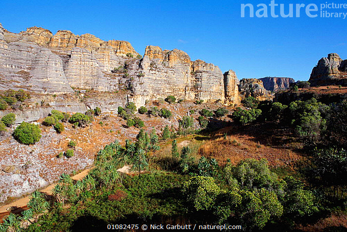 Stock photo of Sandstone cliffs, Isalo NP, Madagascar. Available for ...