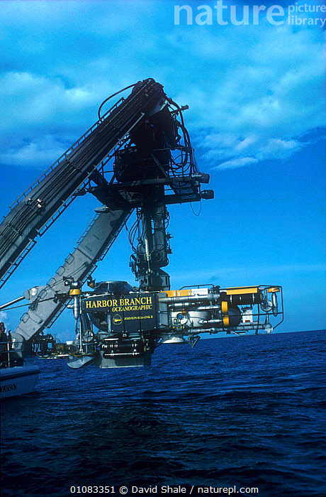 Stock photo of Johnson Sealink II submersible being lowered into the ...