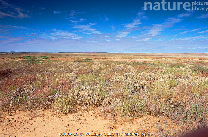 Stock photo of Australian outback scenic - The Channel Country, far ...