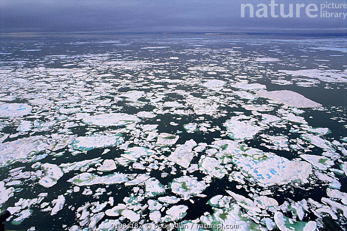 Stock photo of Aerial view of sea ice breaking up in late Spring ...