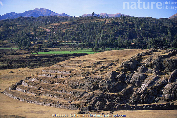 Stock photo of Saqsaywaman, historial Inca site close to Cusco, Peru ...