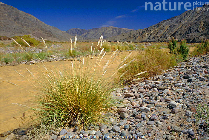 Stock photo of Dried river bed, Rio Blanco valley, San Guillermo ...