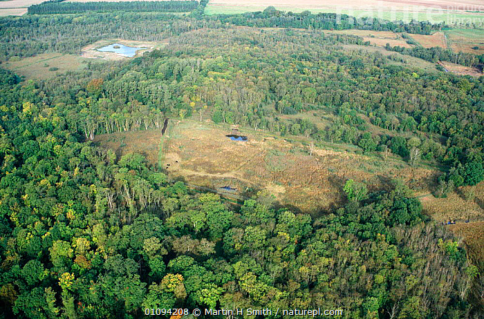 Stock photo of Aerial view of Chippenham Fen, English Nature Reserve ...