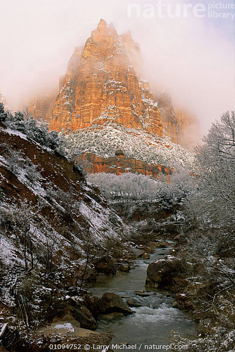 Stock photo of Winter landscape with fog above stream at Zion National ...