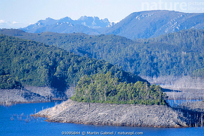 Stock photo of Lake Gordon (created 1972) low water mark shows flooded ...