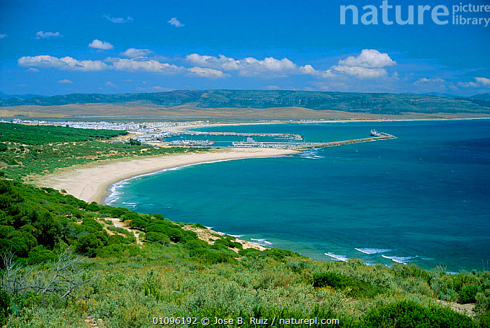 Stock photo of Beach, town and harbour Barbate, Cadiz, Andulacia, Spain ...