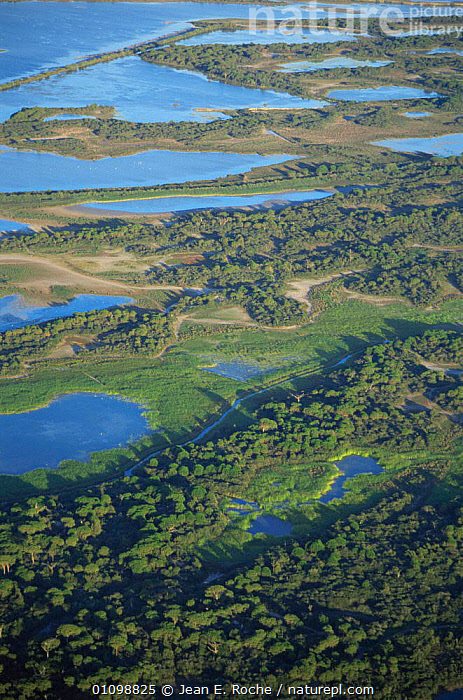 Stock photo of Aerial view of Camargue wetlands, France. Available for ...