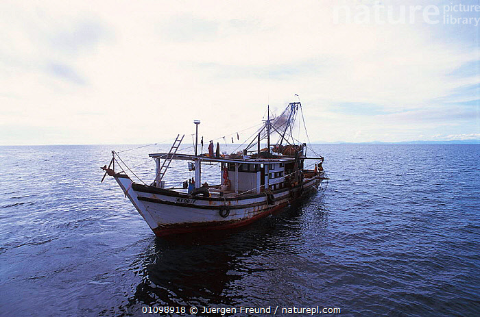 Stock photo of Trawler boat Sulu-sulawesi seas, Indo-pacific. Available ...
