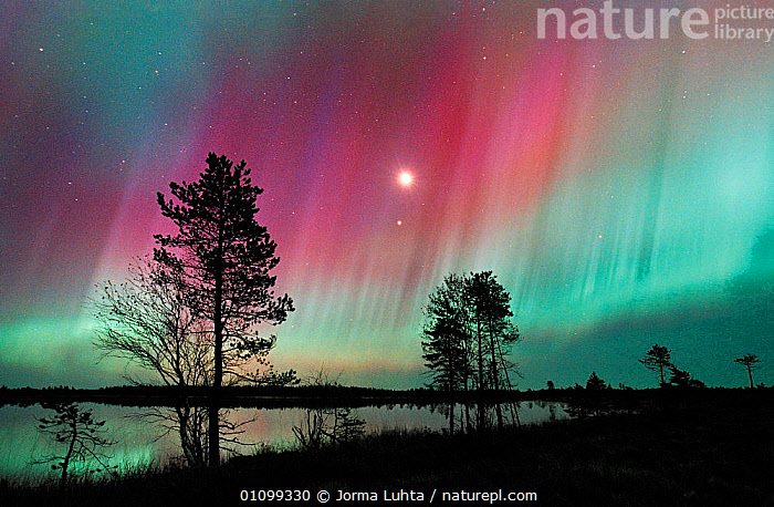 Stock photo of Aurora borealis colours in night sky over lake, northern ...
