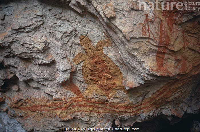 Stock photo of Aboriginal rock paintings, Rainbow serpent, Kakadu NP ...