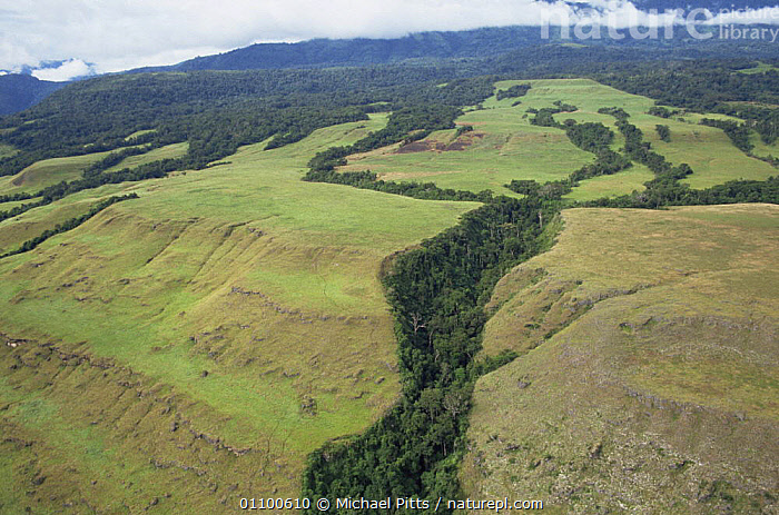 Stock photo of Aerial view of uplifted coral terraces, Huon Peninsula ...