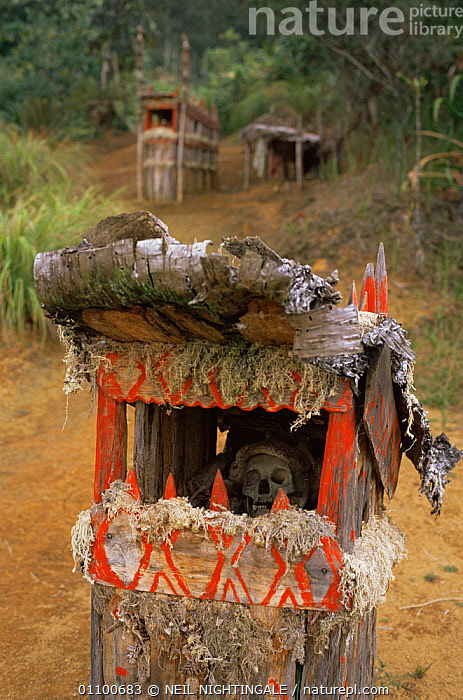 Stock photo of Traditional Huli wigman grave, Papua New Guinea, 1991 ...