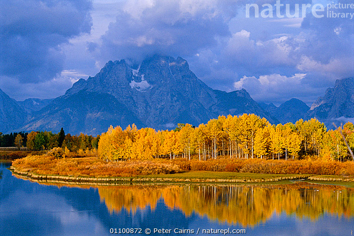 Stock photo of RF- Mt Moran and Snake river at oxbow bend. Grand Teton ...