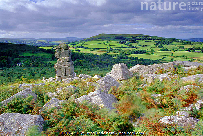 Stock photo of Bowerman's nose Tor and moorland, Dartmoor National Park ...