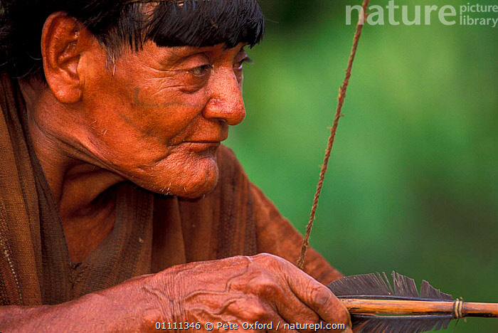 Stock photo of Machiguenga indian with bow & arrow, Timpia community ...